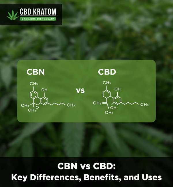 CBN vs. CBD: Differences, Benefits, and Best Uses Explained