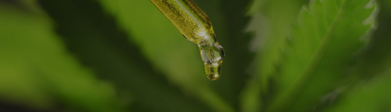 CBD Kratom Philadelphia - Premium CBD & Kratom Store